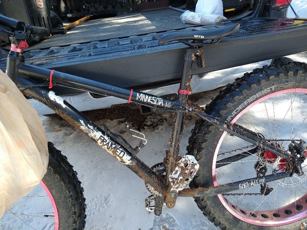 Now if I can keep the birds from pooping on them - The Café - Square ...