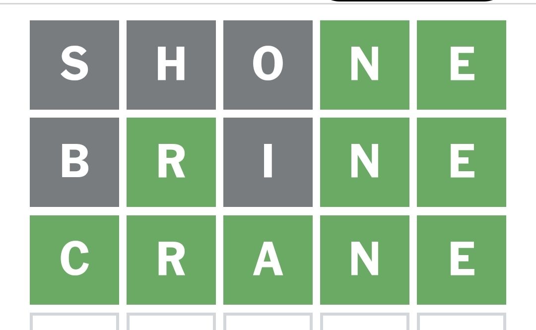 Wordle summer solstice edition - The Café - Square Wheels Cycling