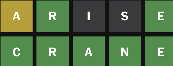 Wordle summer solstice edition - The Café - Square Wheels Cycling