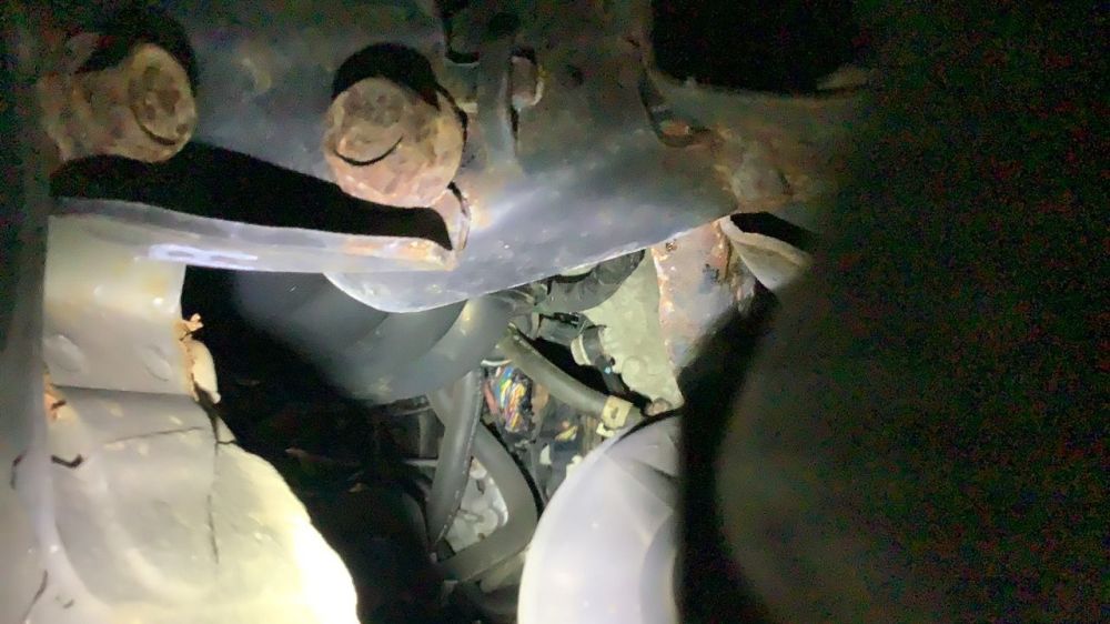 Look what those little rodent bastages did to my car! - The Café ...